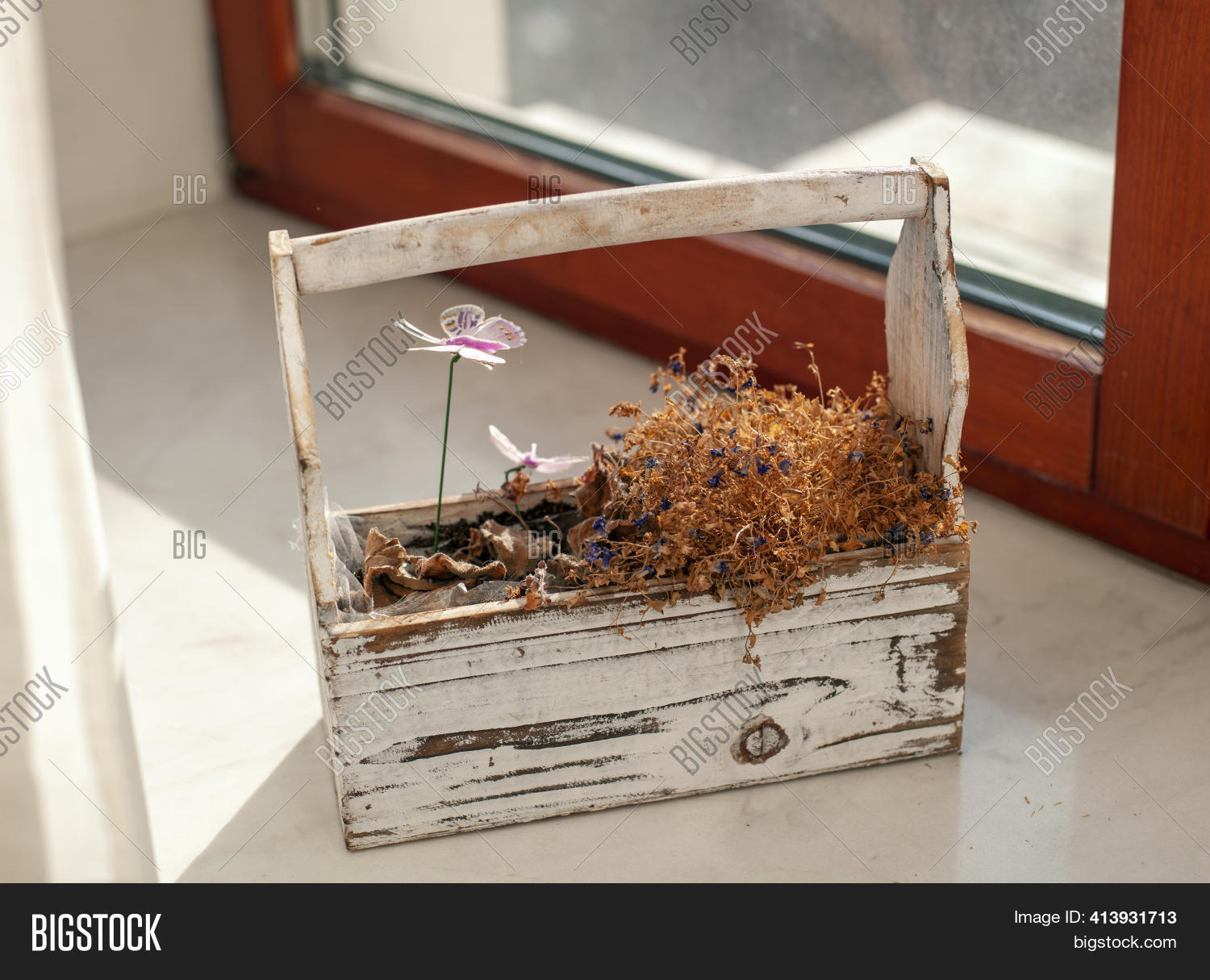 Dry Decorative Plants Image & Photo (Free Trial) | Bigstock