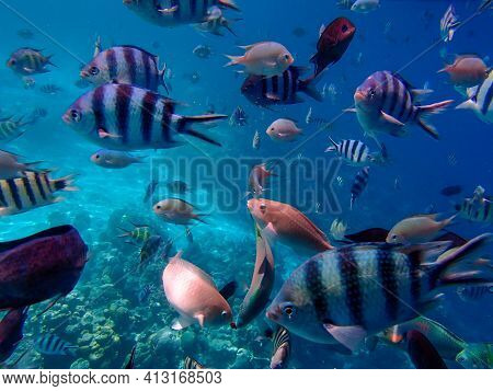 Group Colorful Image & Photo (Free Trial) | Bigstock