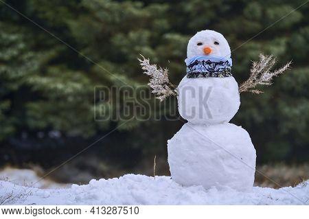 Funny Snowman Made Image & Photo (Free Trial) | Bigstock