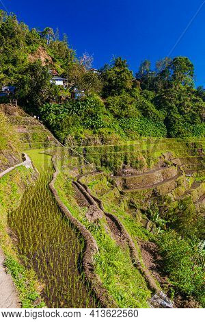 Ifugao Rice Terraces Image & Photo (Free Trial) | Bigstock