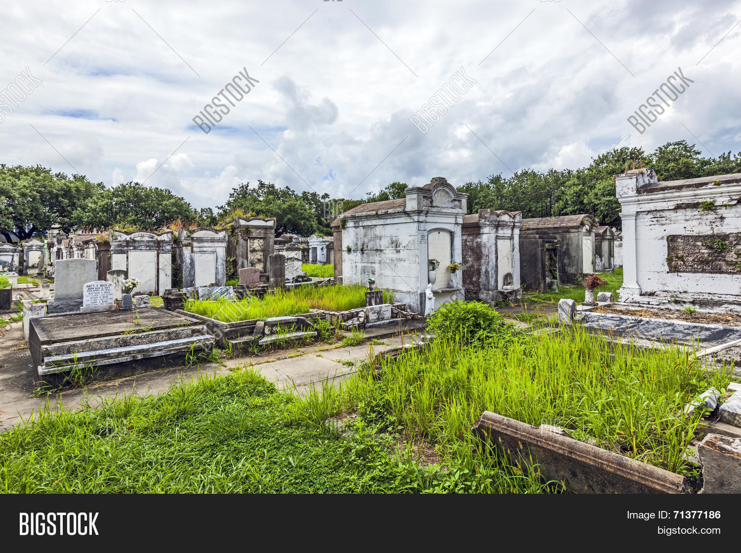 Lafayette Cemetery New Image & Photo (Free Trial) | Bigstock