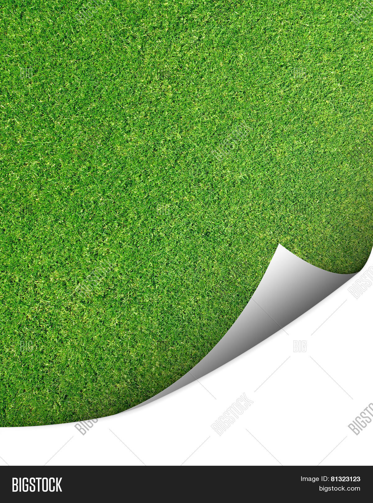Green Cut Grass Image & Photo (Free Trial) | Bigstock