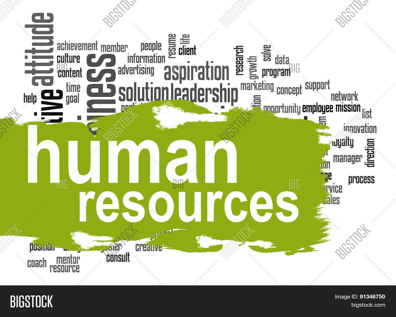 Human Resources Word Image & Photo (Free Trial) | Bigstock