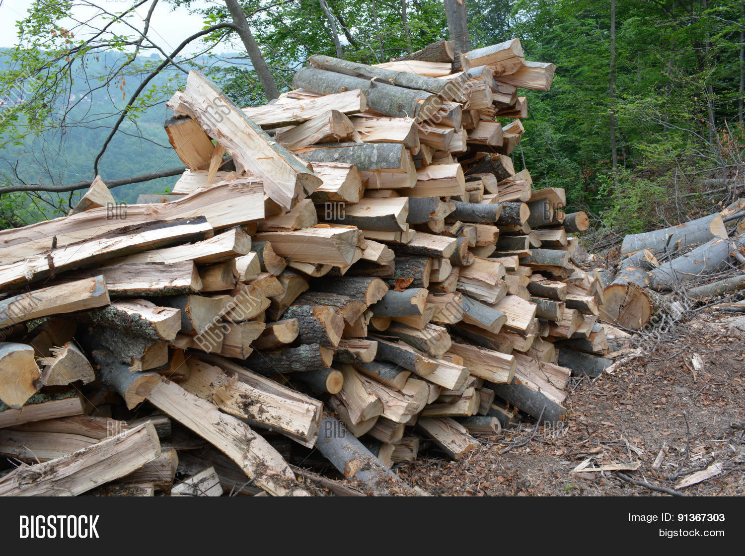Pile Beech Logs Image & Photo (Free Trial) | Bigstock