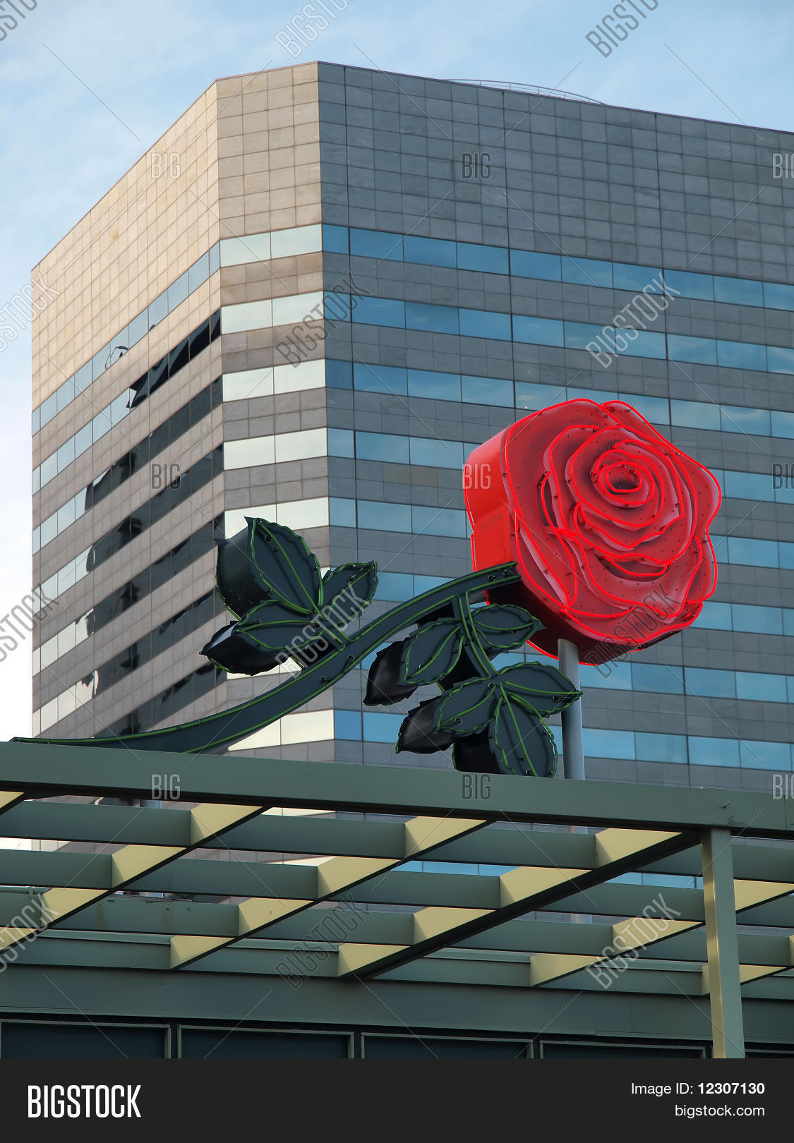 Portland Oregon Rose Image & Photo (Free Trial) | Bigstock