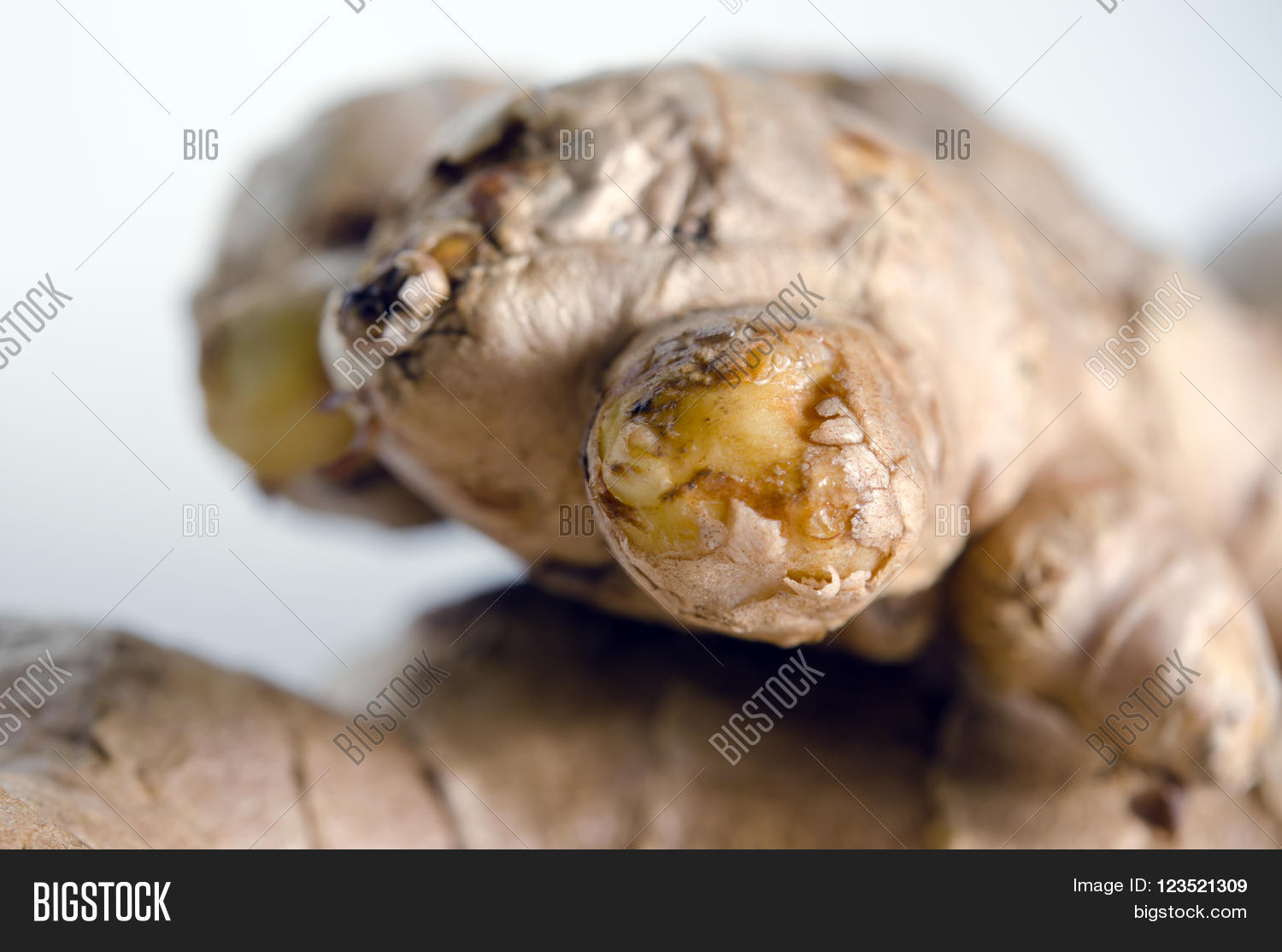 Ginger Isolated On Image & Photo (Free Trial) | Bigstock