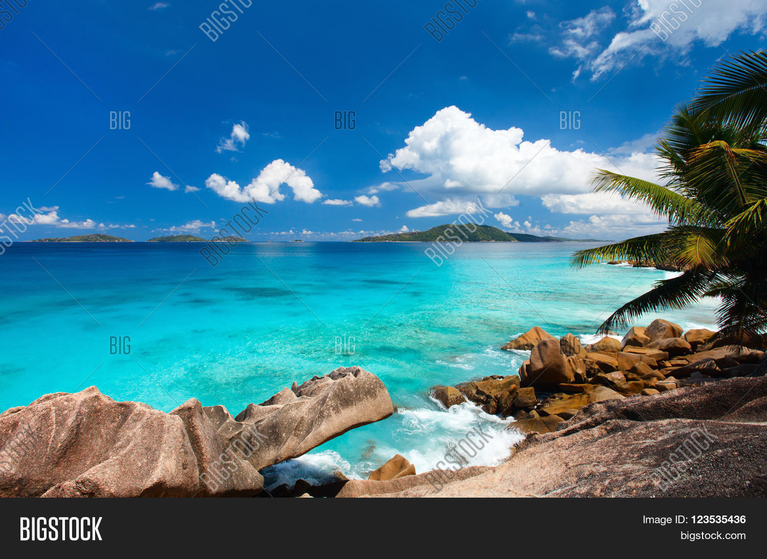 Beautiful Little Image & Photo (Free Trial) | Bigstock