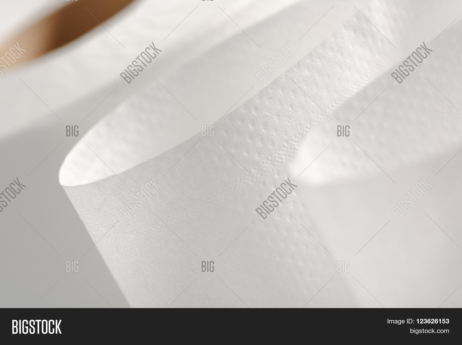 One White Toilet Paper Image & Photo (Free Trial) | Bigstock