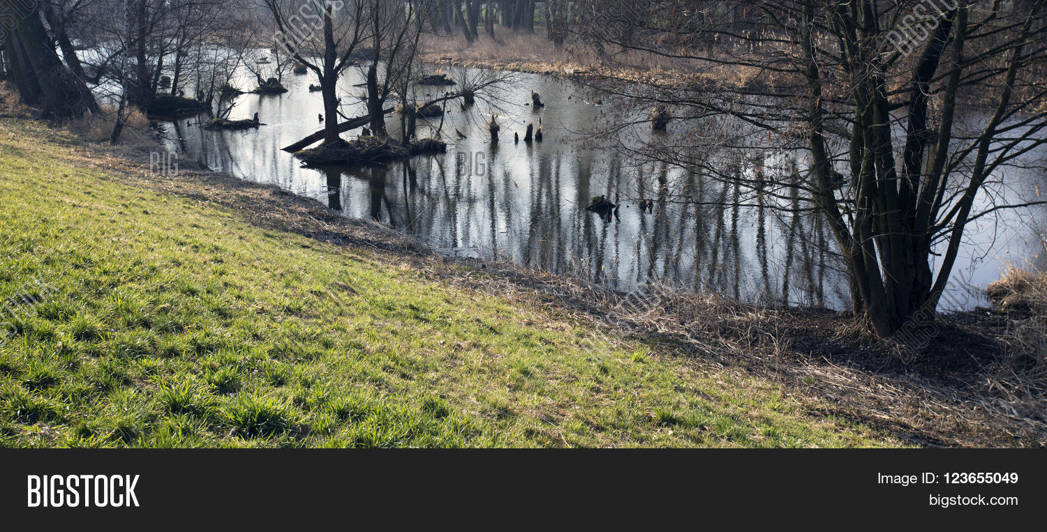 Swamps Autumn. Cool Image & Photo (Free Trial) | Bigstock