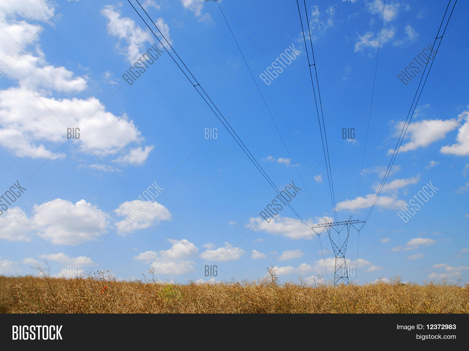 Power Line Among Farm Image & Photo (Free Trial) | Bigstock