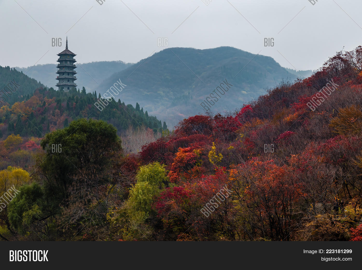 Hong Ye Gu, Red Leaf Image & Photo (Free Trial) | Bigstock
