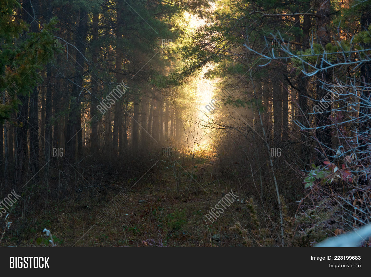 Dramatic Fantasy Image & Photo (Free Trial) | Bigstock