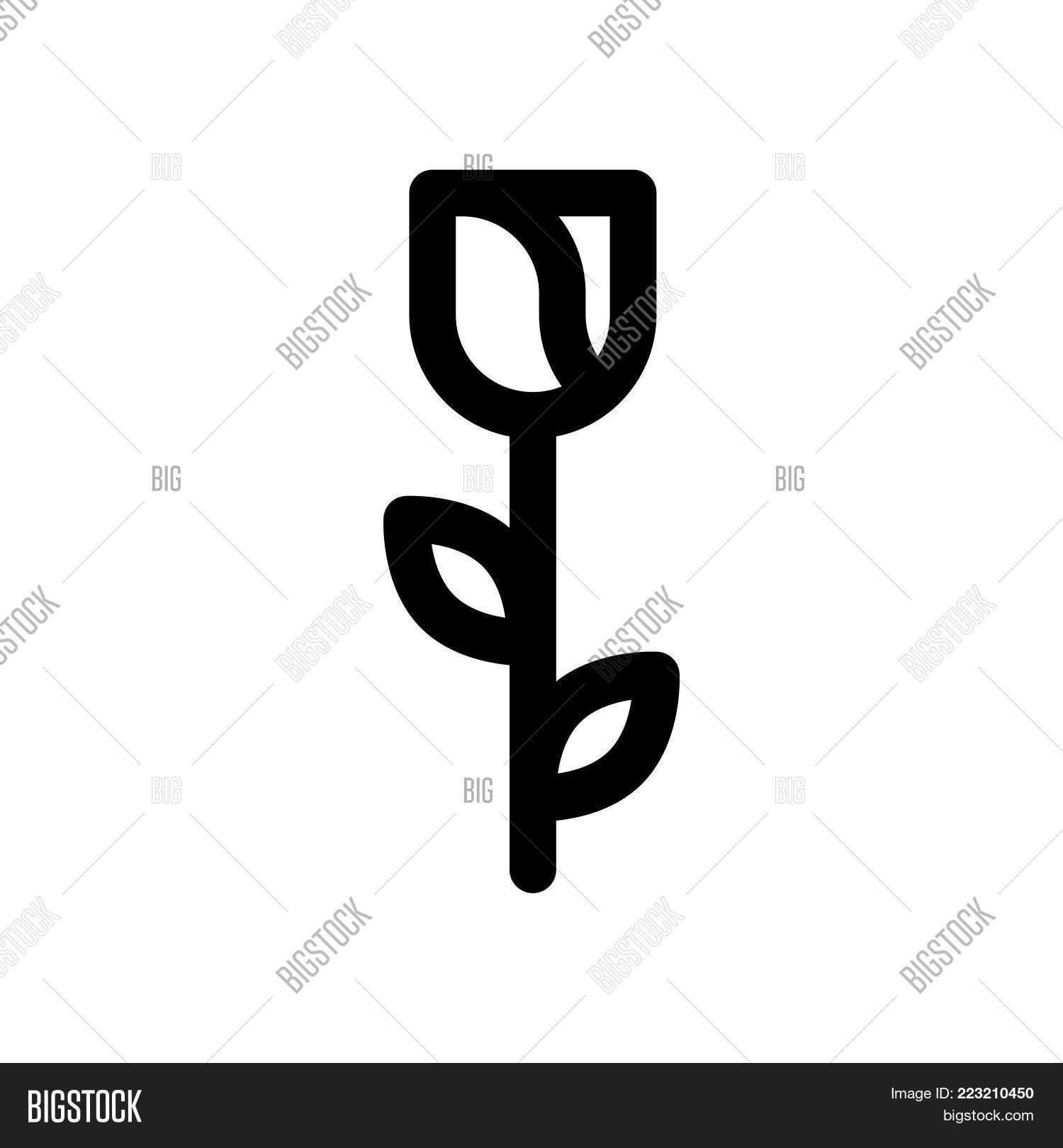 Rose Icon Isolated On Vector & Photo (Free Trial) | Bigstock