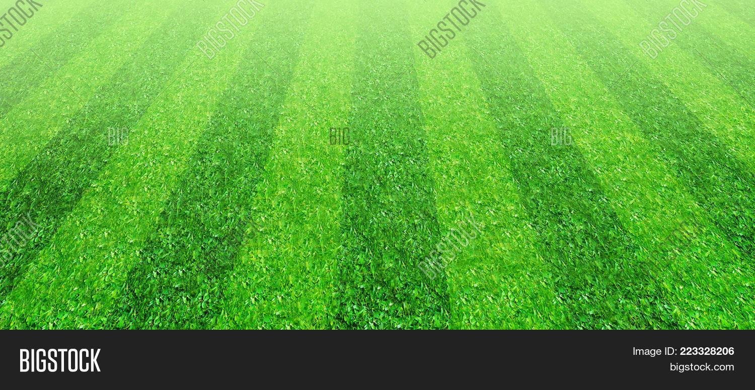 Soccer Football Grass Image And Photo Free Trial Bigstock