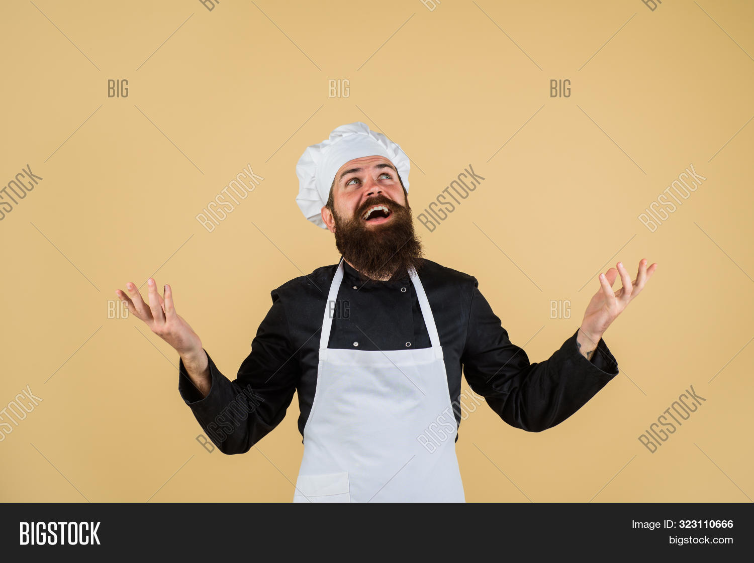 Chief Cook Image & Photo (Free Trial) | Bigstock