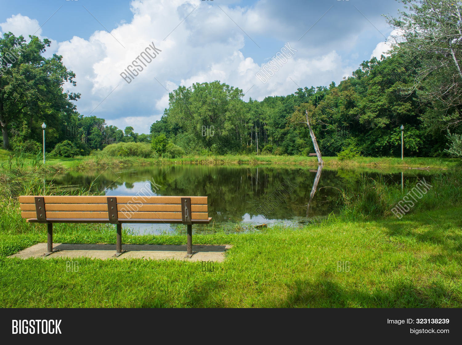 Park Benches Image & Photo (Free Trial) | Bigstock