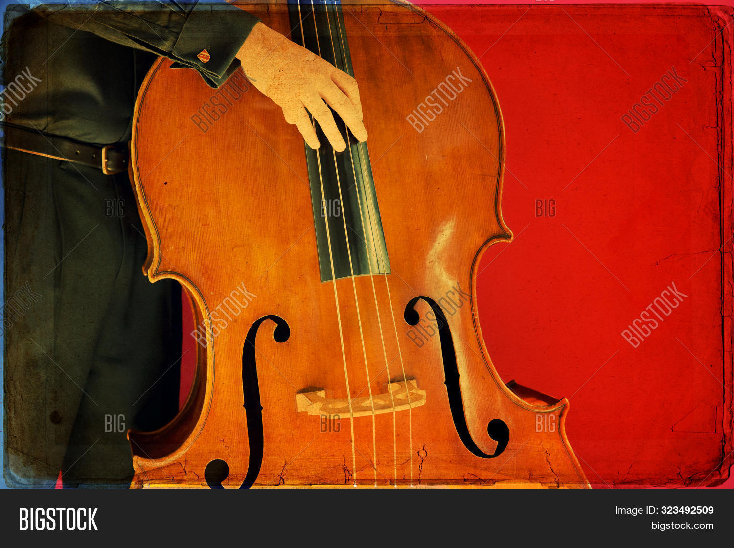 Double Bass, Beauty Image & Photo (Free Trial) | Bigstock