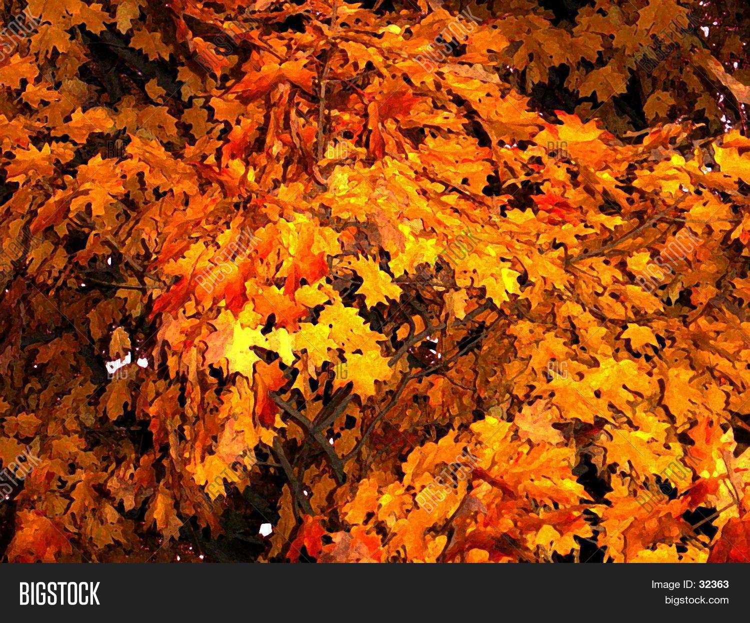 October Leaves Image & Photo (Free Trial) | Bigstock