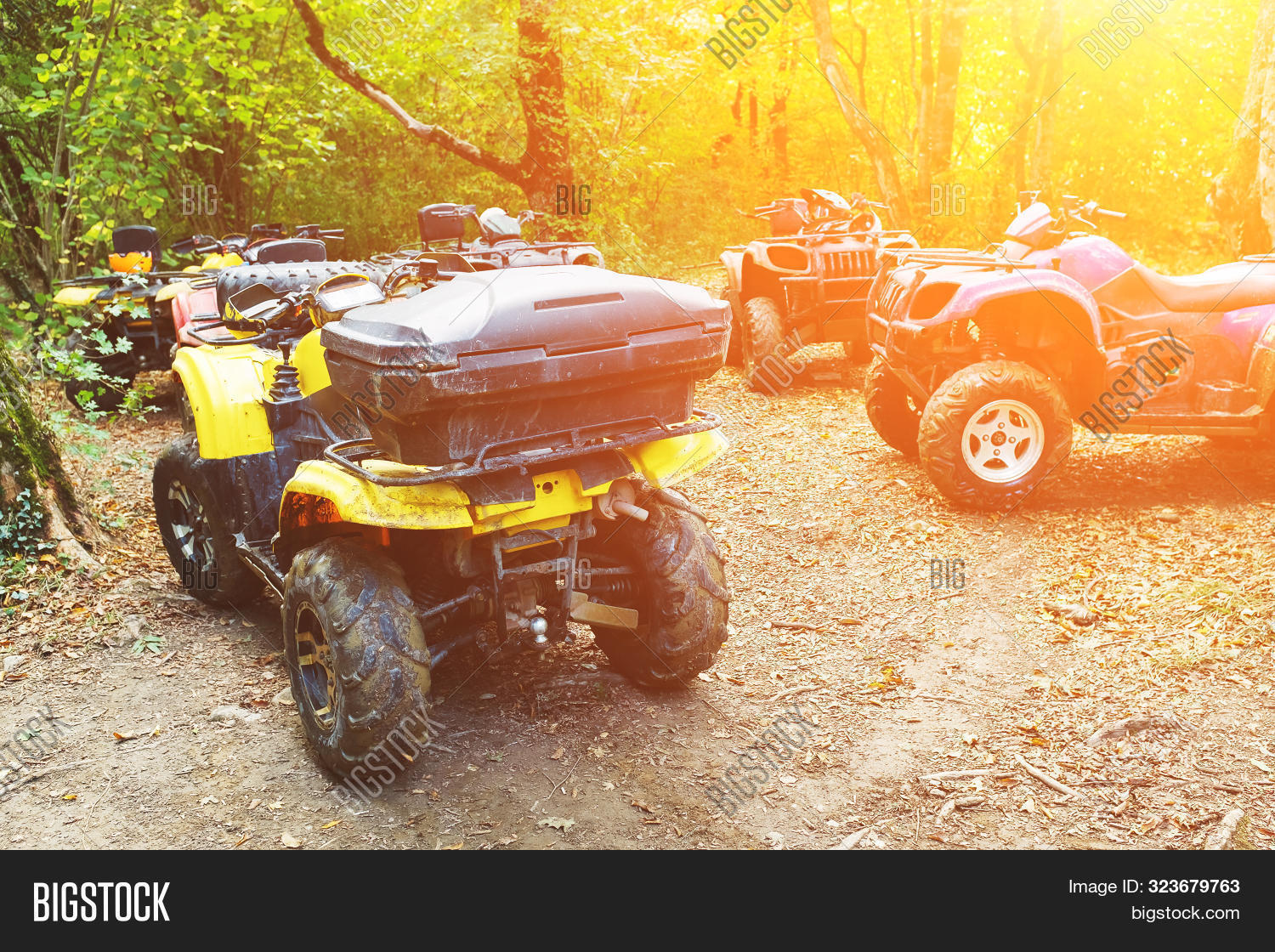 Group Atvs Forest Image & Photo (Free Trial) | Bigstock