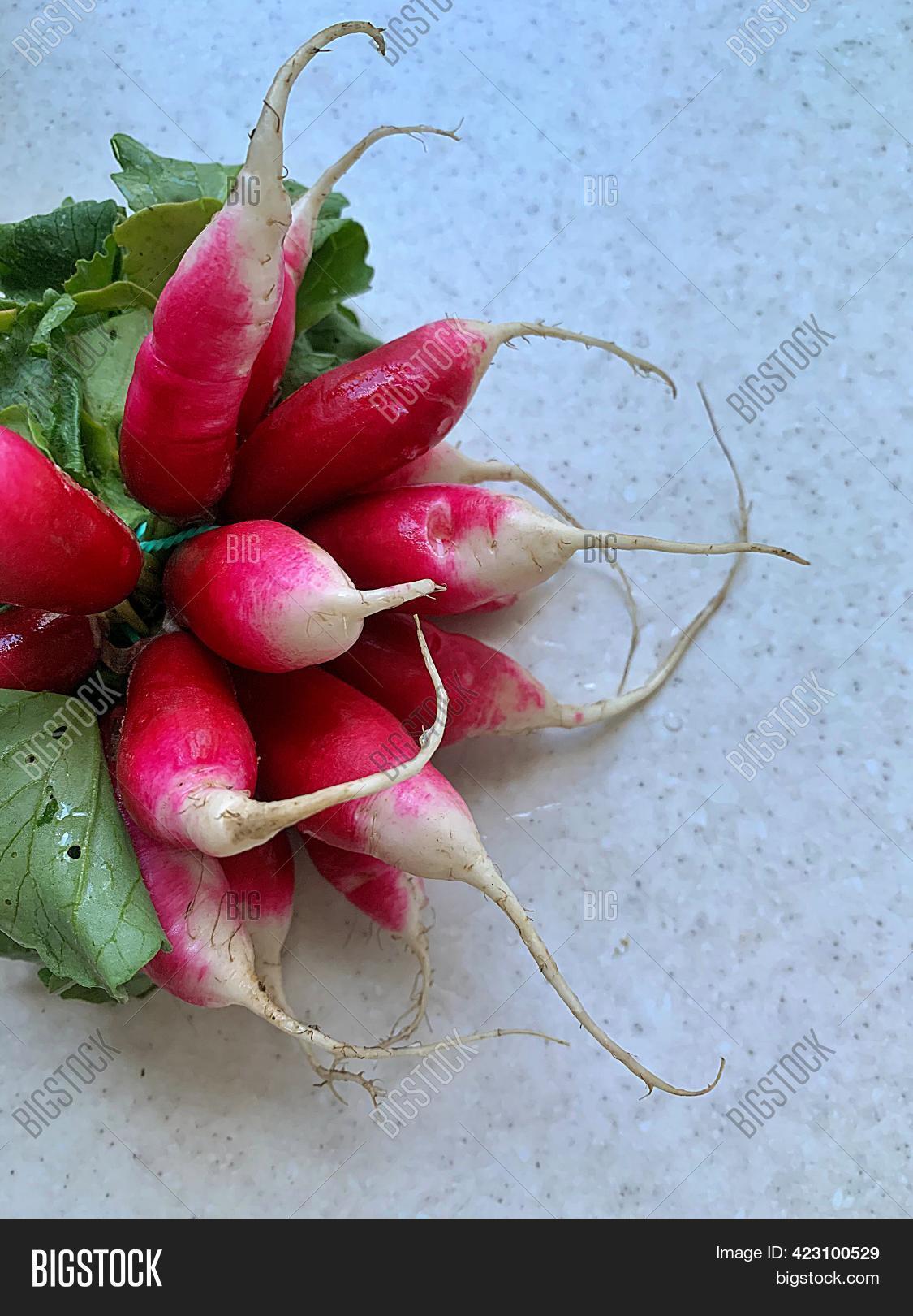 Bunch Fresh Radishes, Image & Photo (Free Trial) | Bigstock