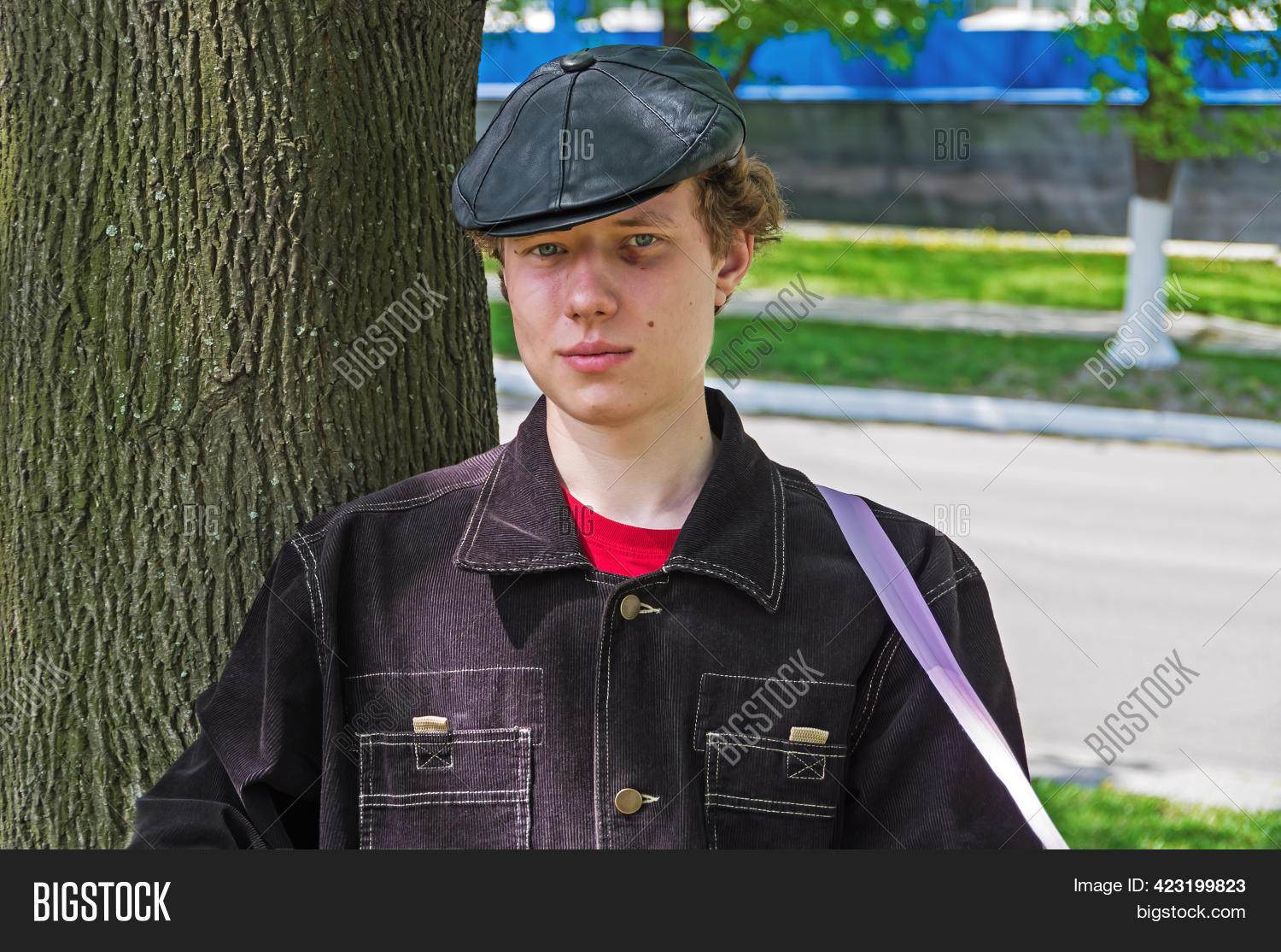 Sulky Young Bully Image & Photo (Free Trial) | Bigstock