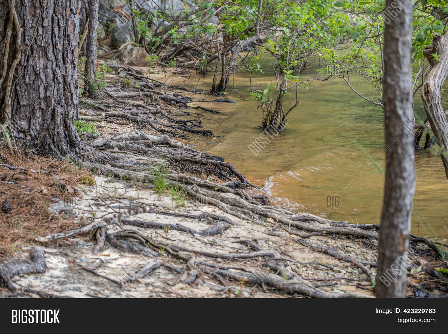 Severe Erosion On Lake Image & Photo (Free Trial) | Bigstock