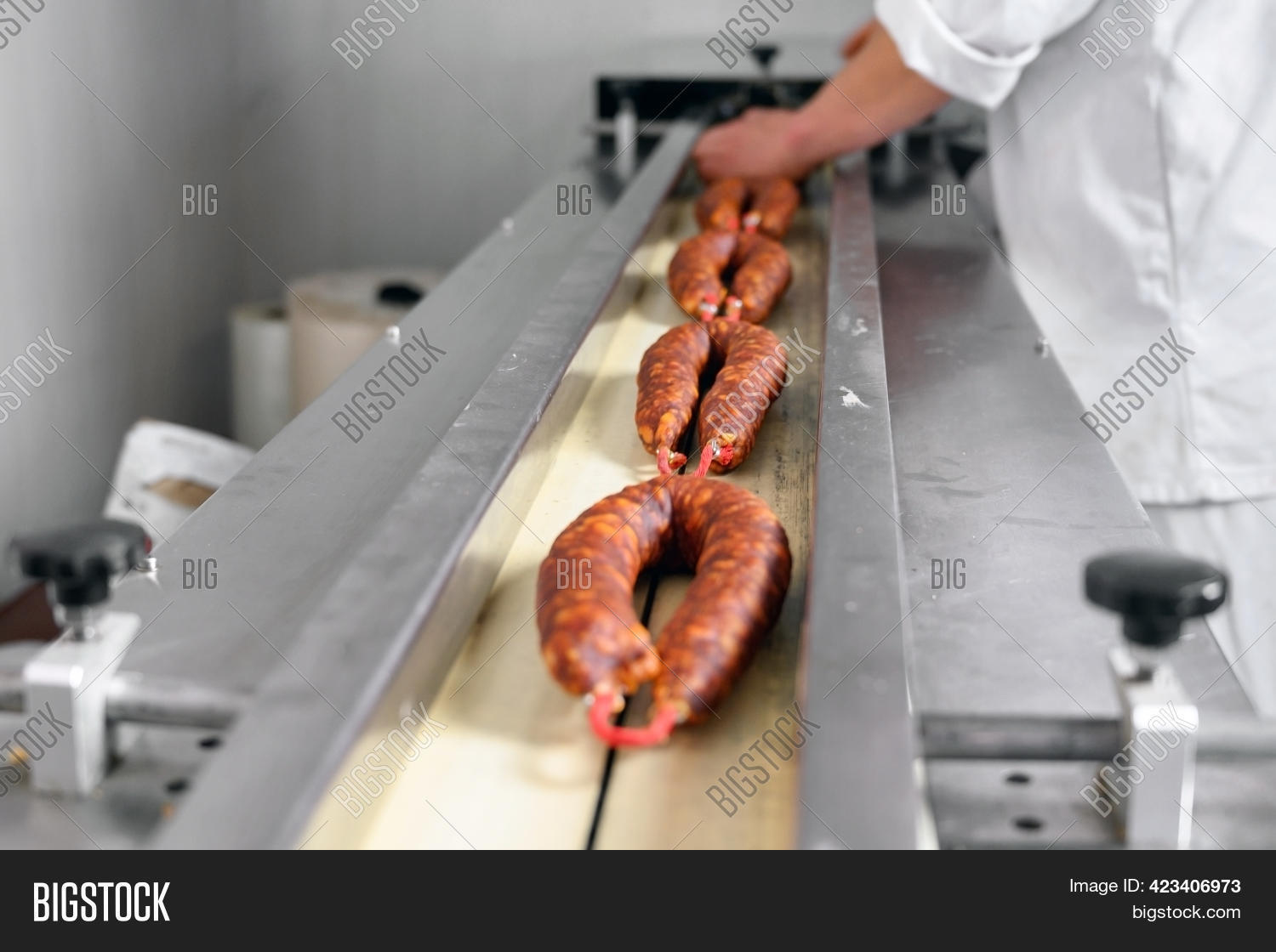 Sausages. Packing Line Image & Photo (Free Trial) | Bigstock