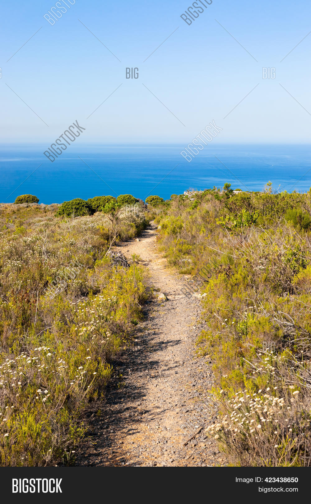 Dirt Track Hiking Image & Photo (Free Trial) | Bigstock