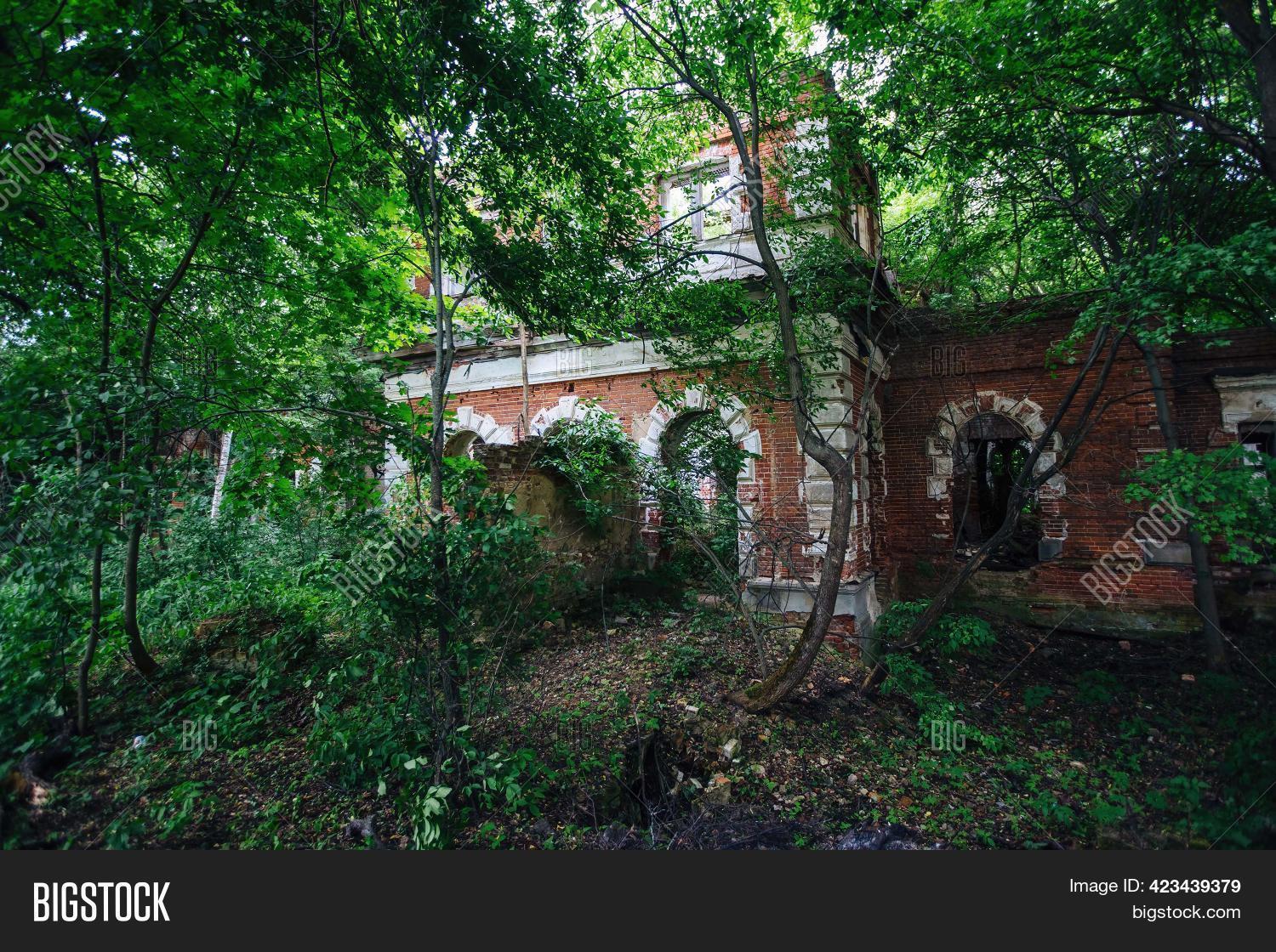 Overgrown Ruins Image & Photo (Free Trial) | Bigstock