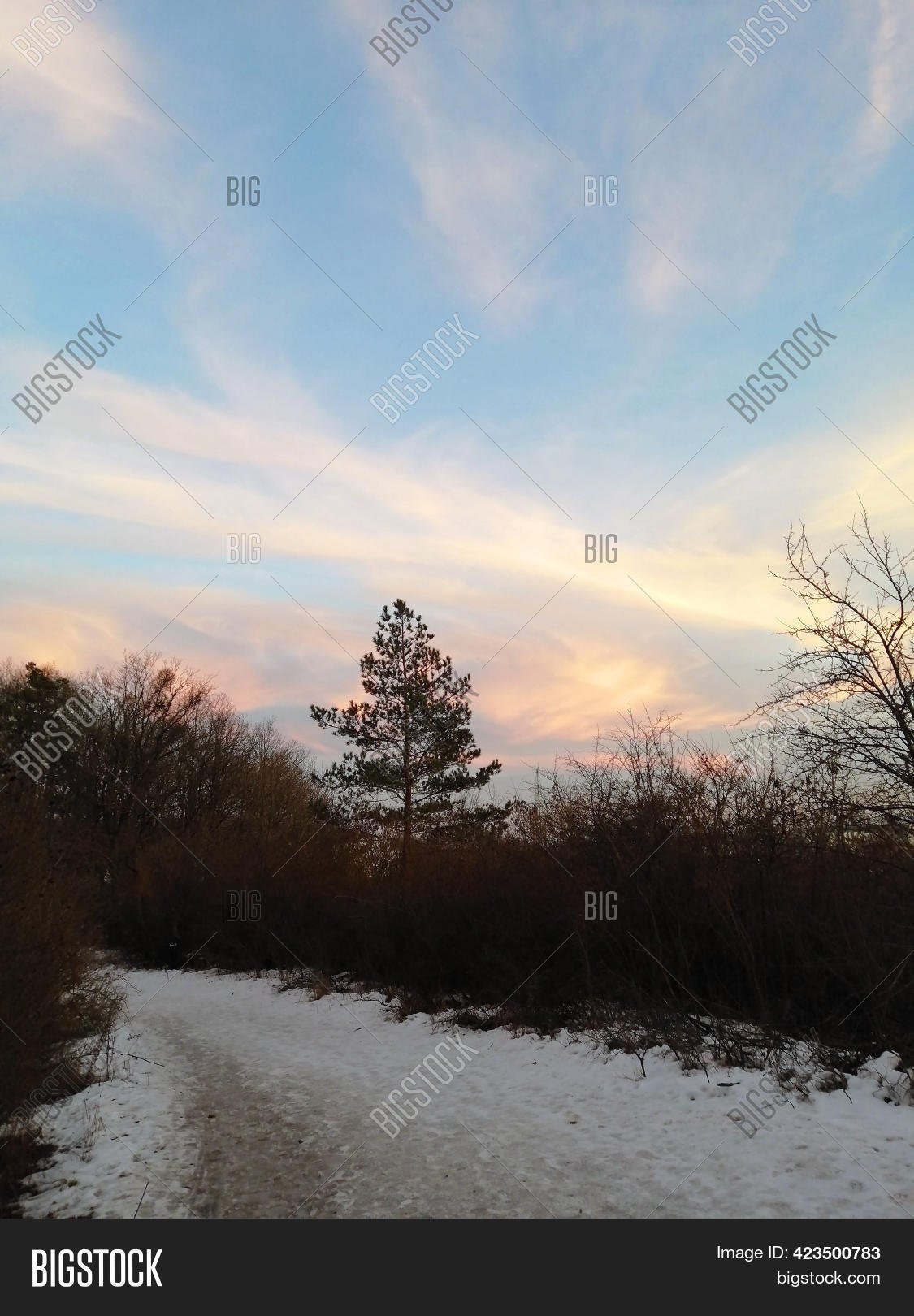 Winter Red Sky Clouds Image & Photo (Free Trial) | Bigstock