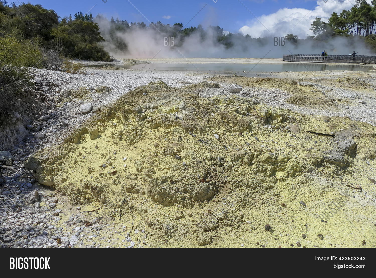 Champagne Pool Image & Photo (Free Trial) | Bigstock