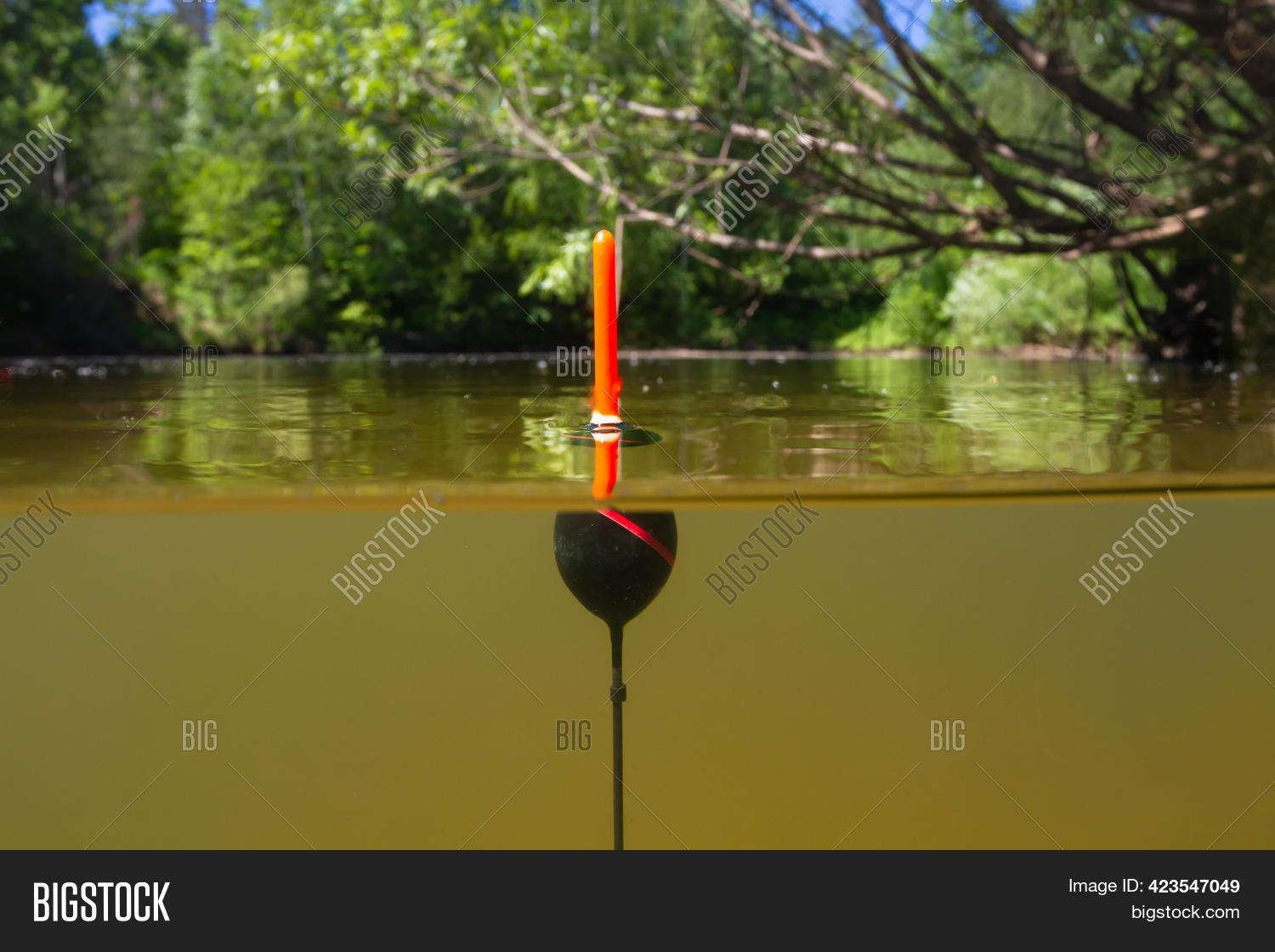 Black Fishing Float Image & Photo (Free Trial) | Bigstock