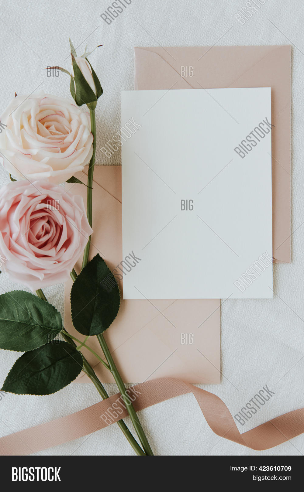 Blank White Card Image & Photo (Free Trial) | Bigstock