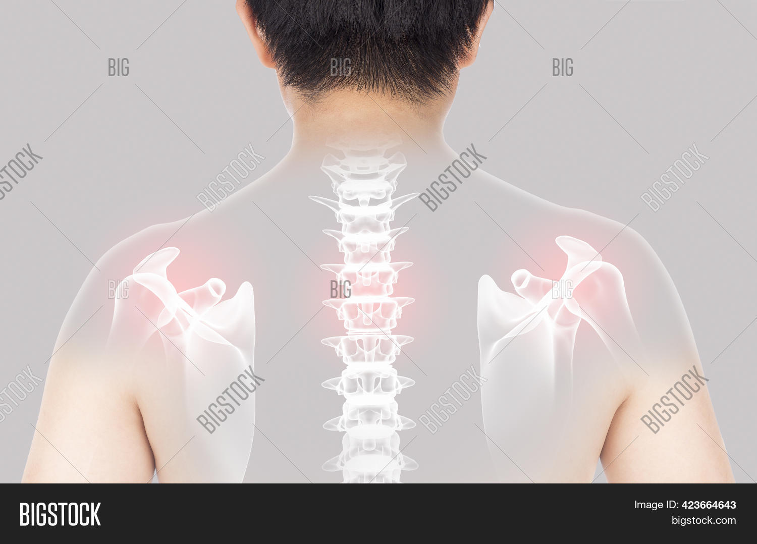 Man Feel Spine Bones Image & Photo (Free Trial) | Bigstock