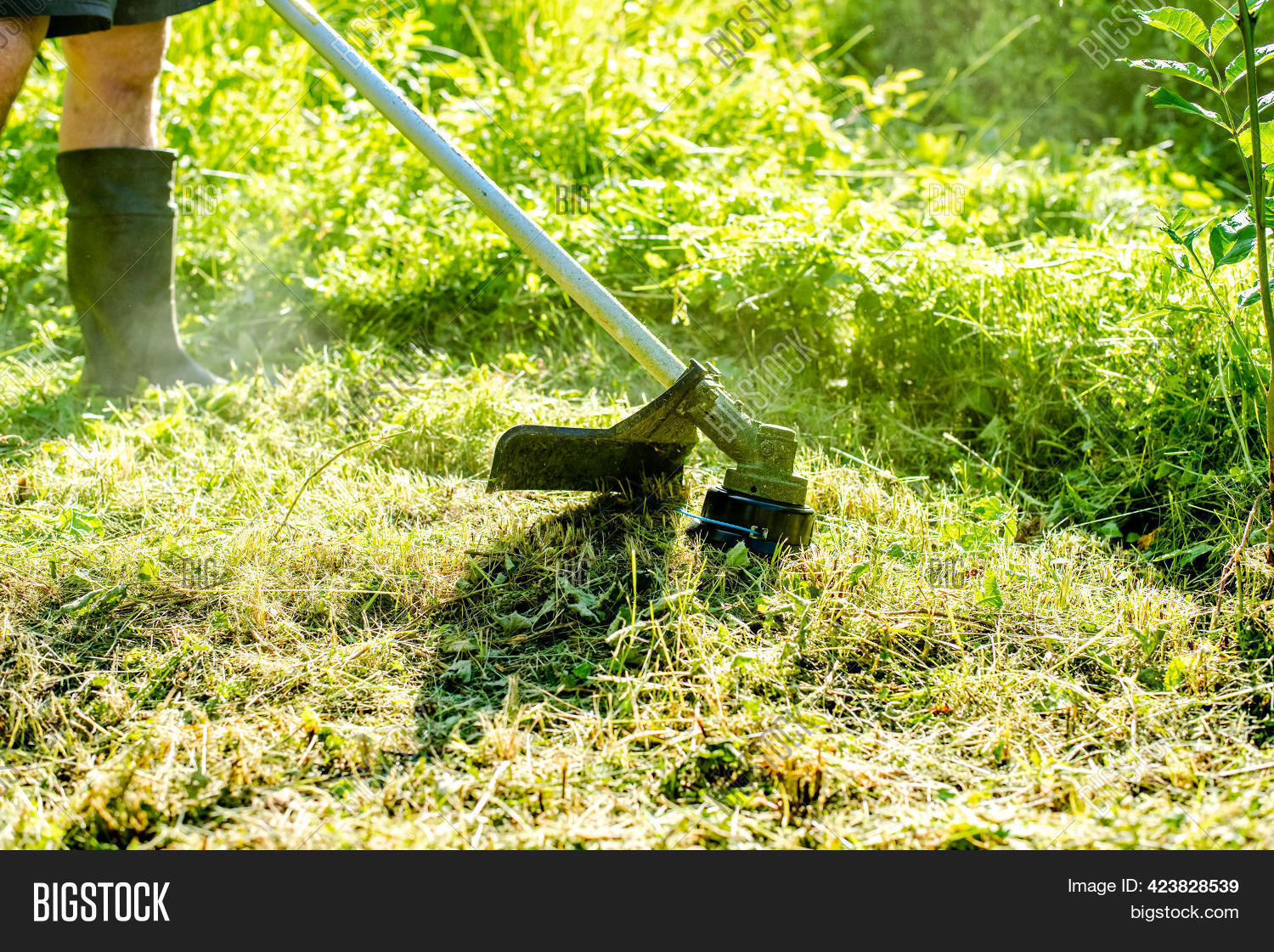 Worker Mowing Tall Image & Photo (Free Trial) | Bigstock