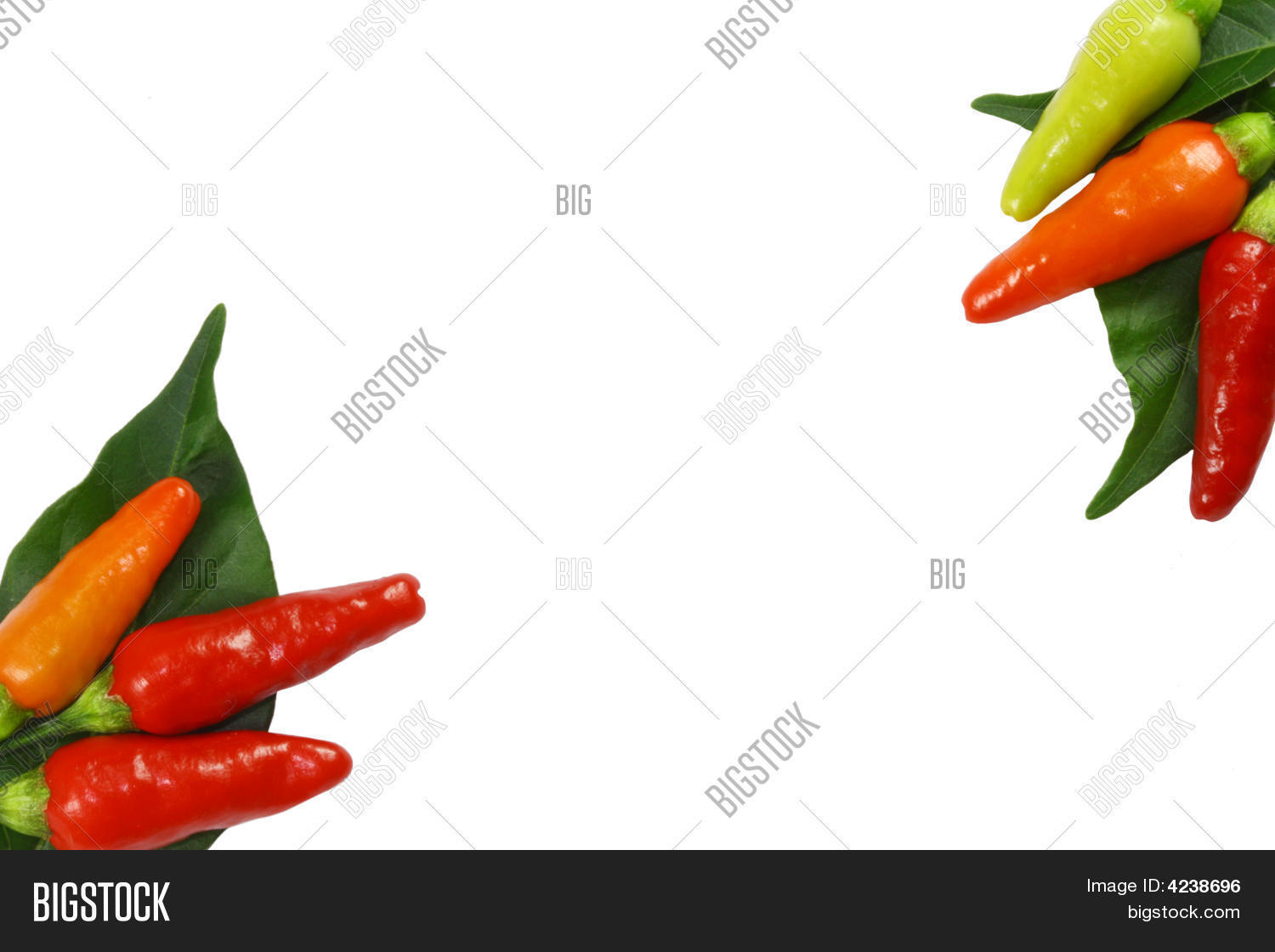 Chili Border Image & Photo (Free Trial) | Bigstock