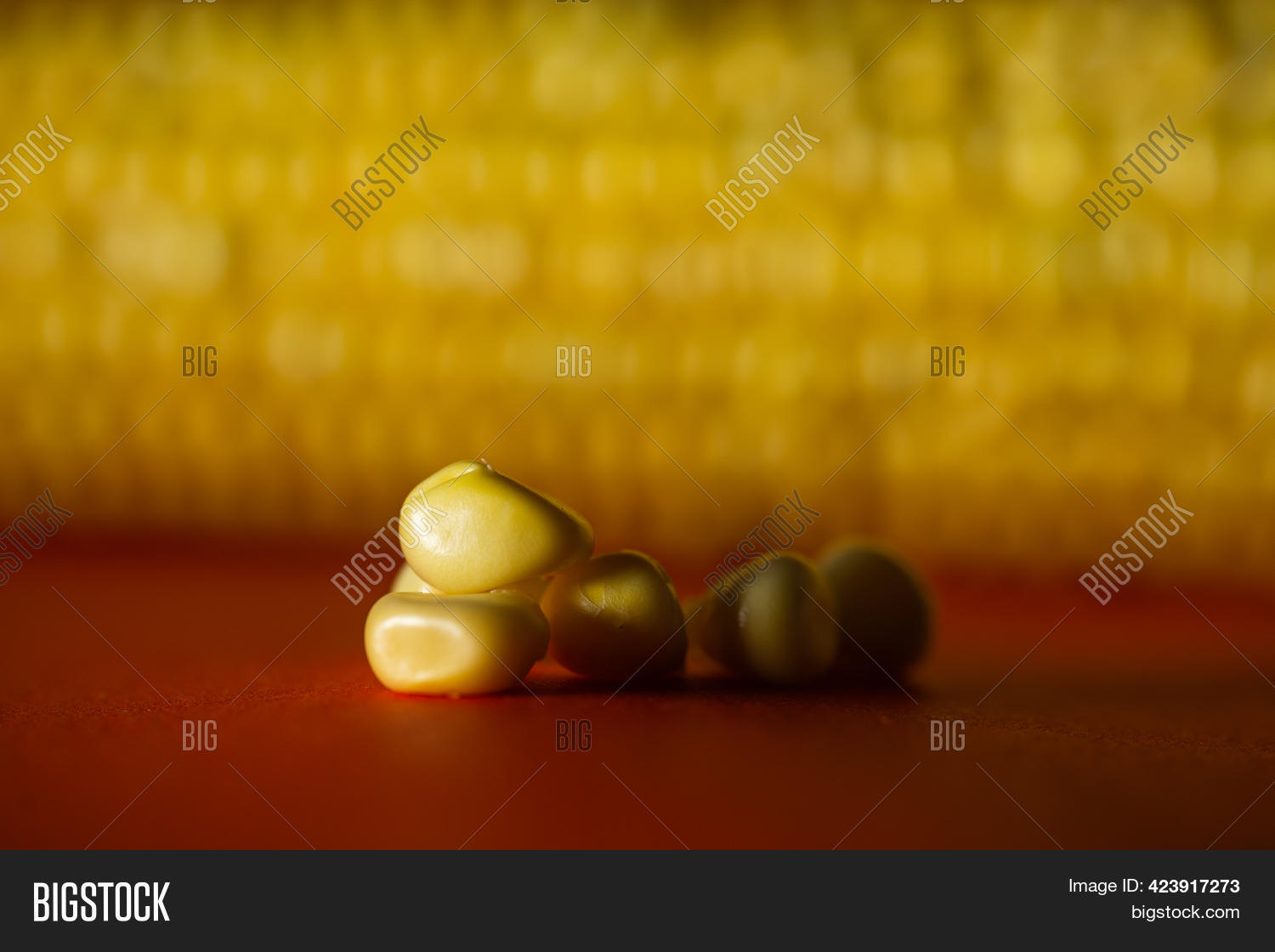 Corn Grains Close Image & Photo (Free Trial) | Bigstock