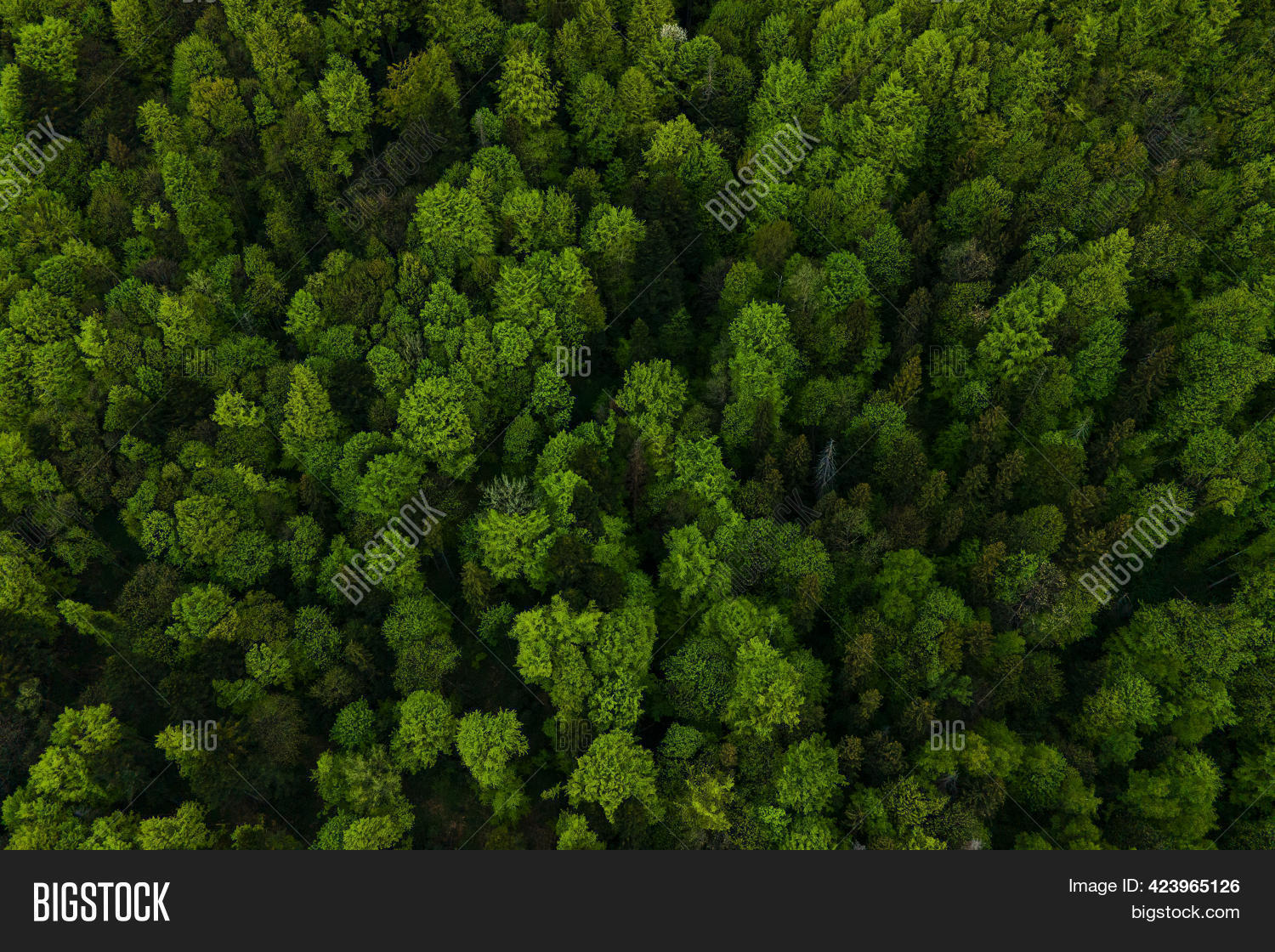 Aerial View Dark Mixed Image & Photo (Free Trial) | Bigstock
