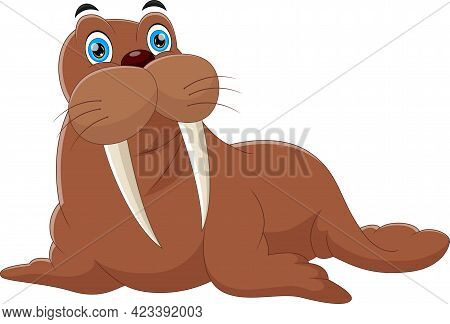 Cute Walrus Cartoon Vector & Photo (Free Trial) | Bigstock