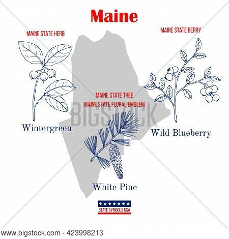 Maine. Set Usa Vector & Photo (Free Trial) | Bigstock
