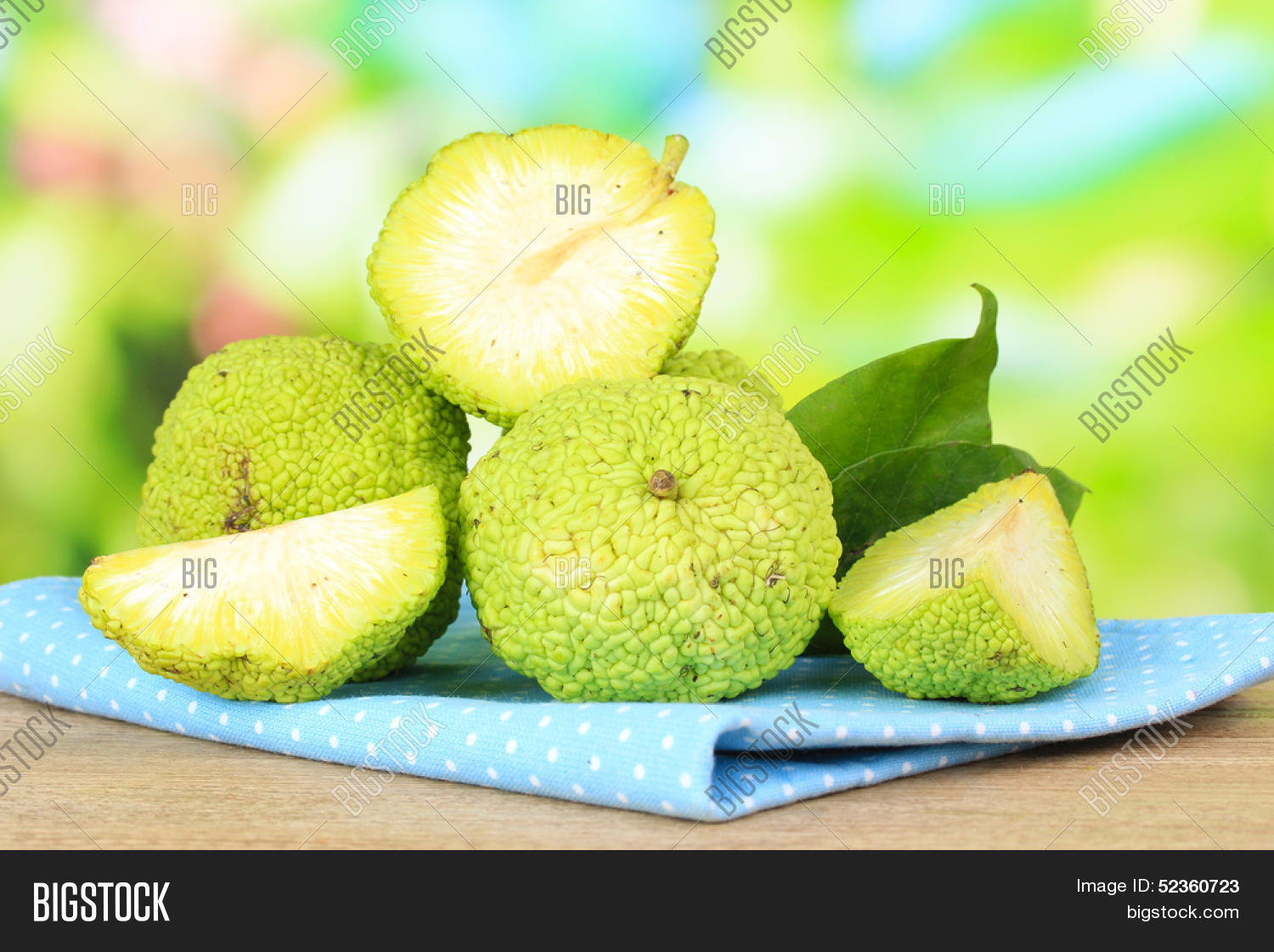 Osage Orange Fruits ( Image & Photo (Free Trial) | Bigstock