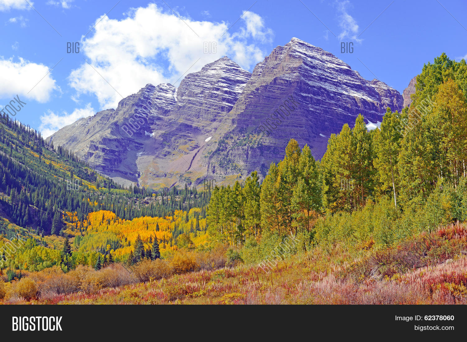 Fall Foliage Maroon Image & Photo (Free Trial) | Bigstock