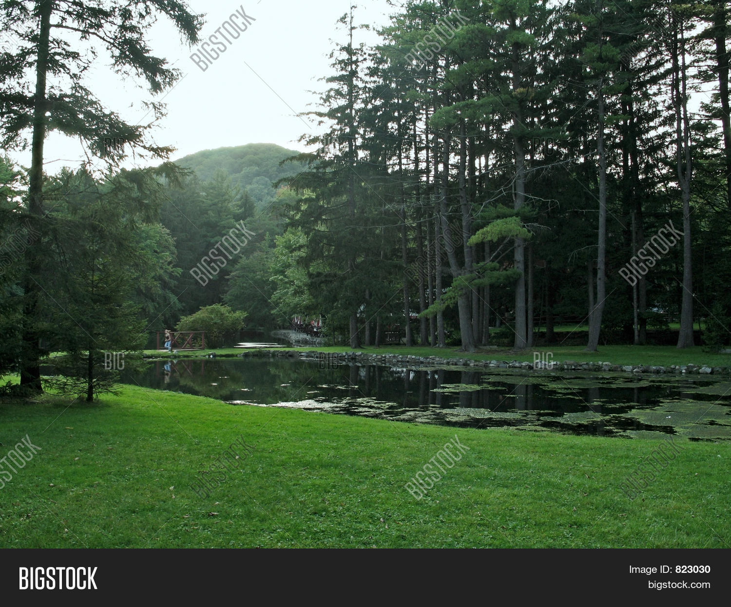Pond Scene Image & Photo (Free Trial) | Bigstock