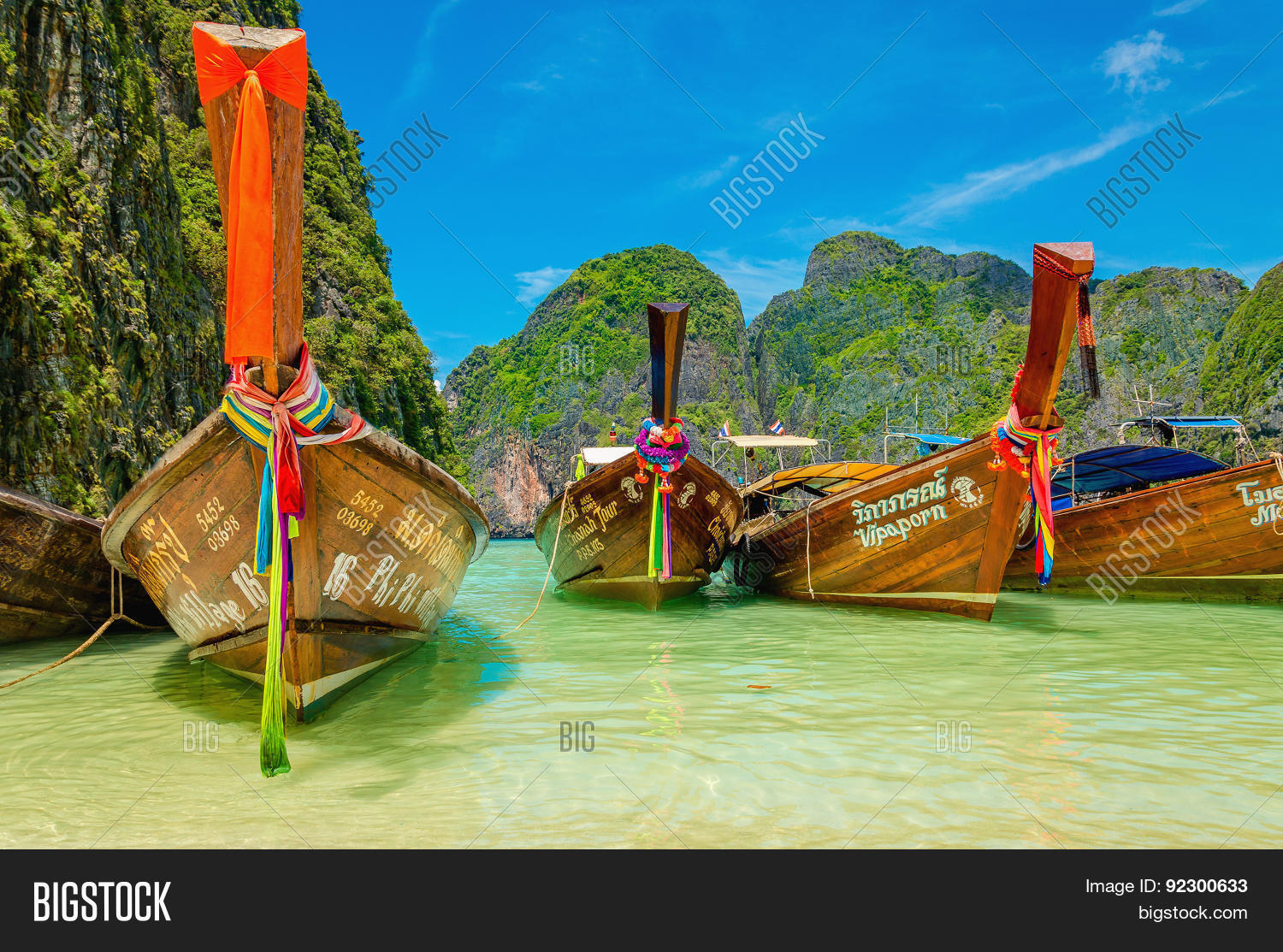 Colorful Long Tail Image & Photo (Free Trial) | Bigstock