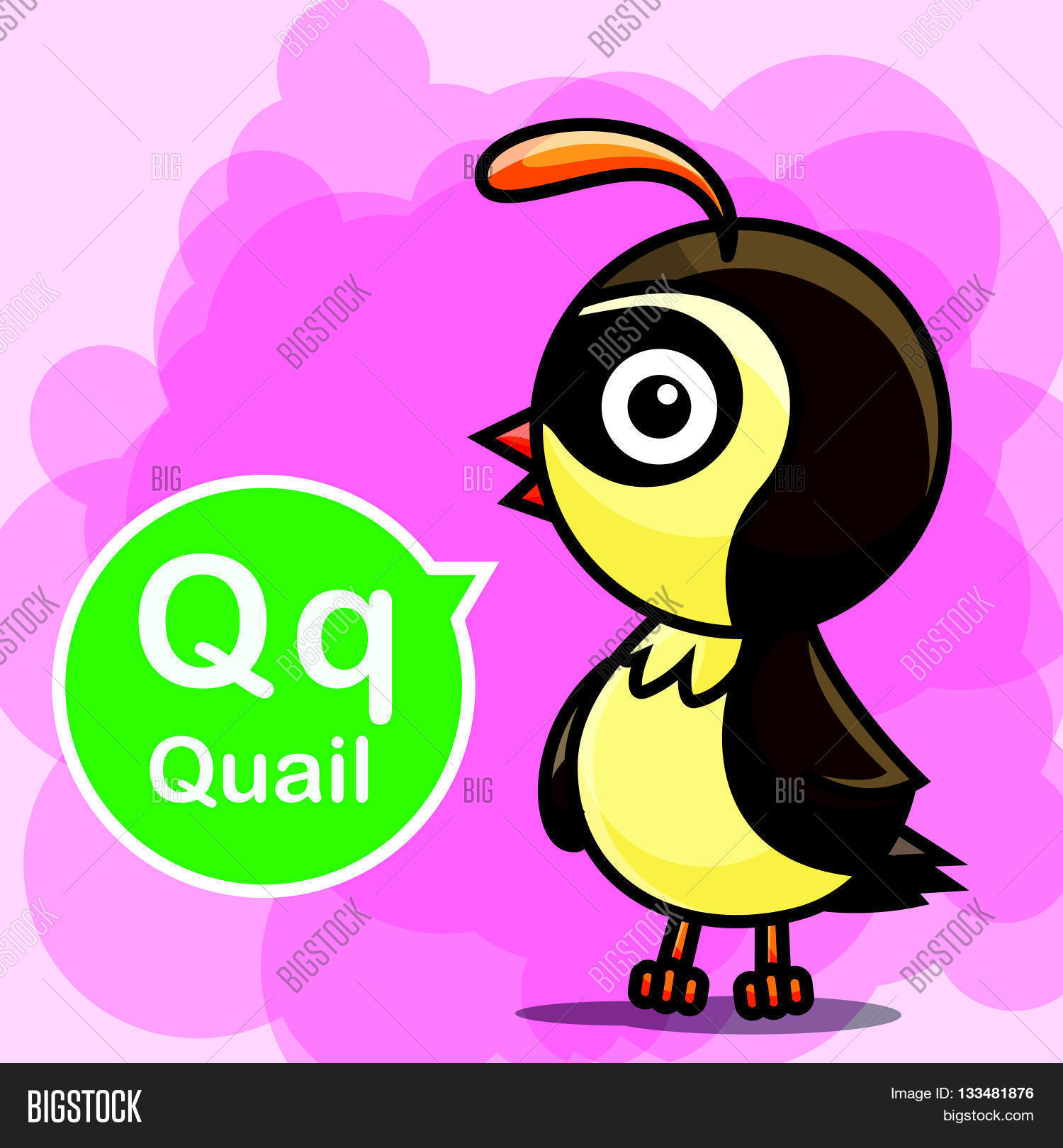 Q Quail Animal Vector & Photo (Free Trial) | Bigstock
