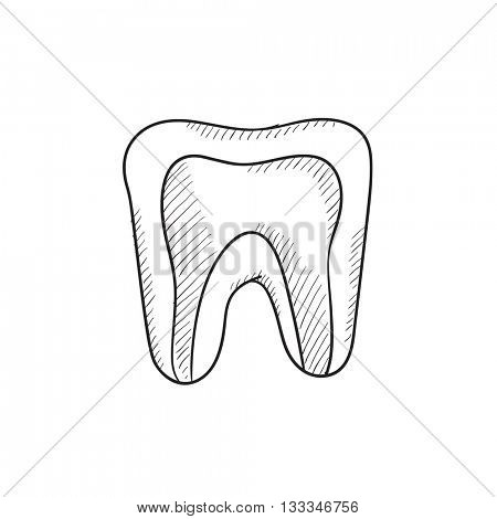 Molar Tooth Vector Vector & Photo (Free Trial) | Bigstock