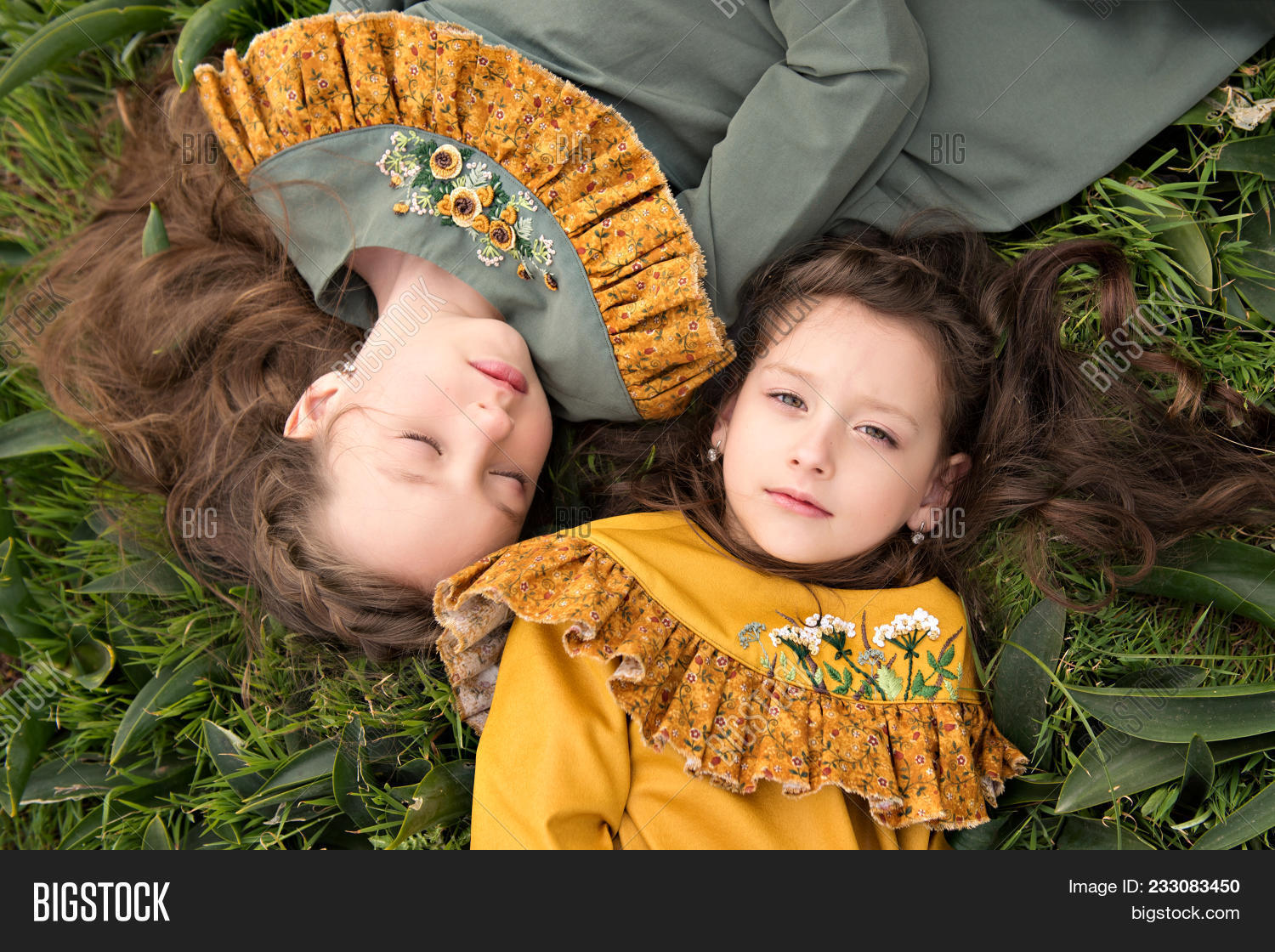 Portrait View Above Image & Photo (Free Trial) | Bigstock