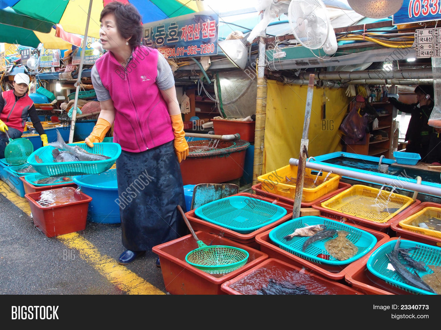 DAEPOHANG FISH MARKET Image & Photo (Free Trial) | Bigstock