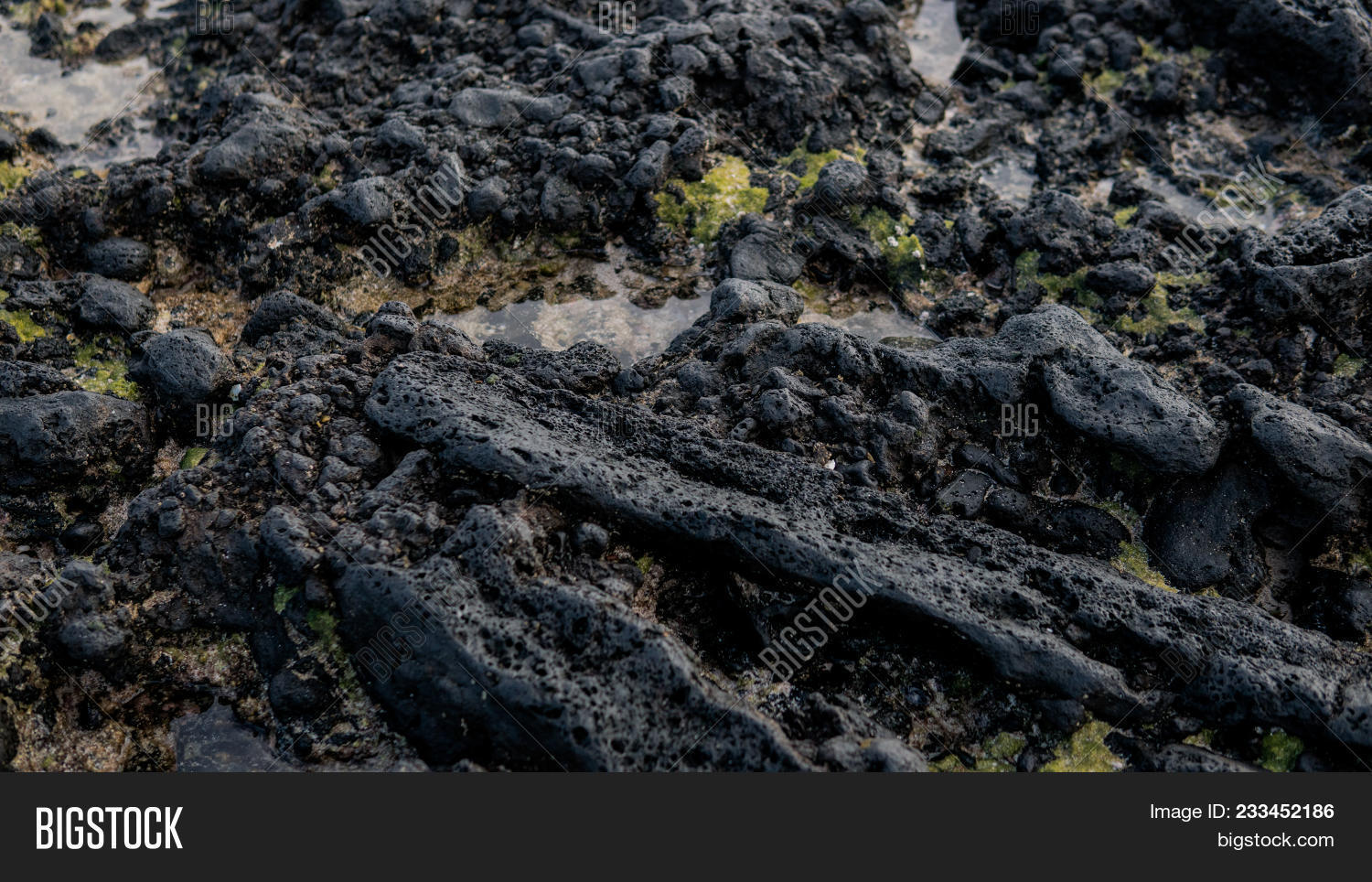 Volcanic Beaches Reefs Image & Photo (Free Trial) | Bigstock