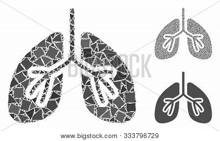 Lungs Mosaic Abrupt Vector & Photo (Free Trial) | Bigstock